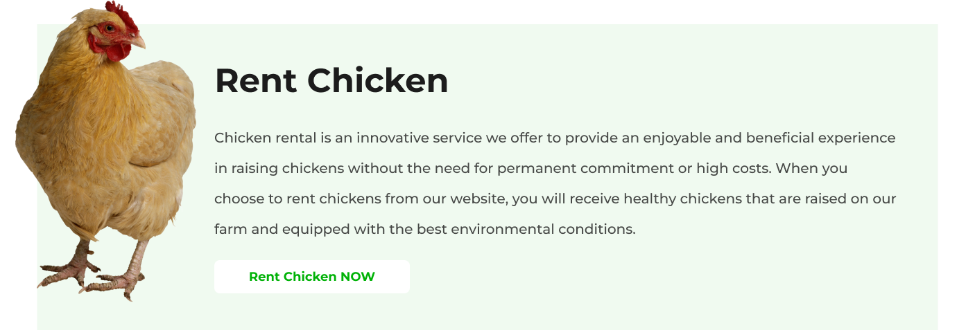 Rent Chicken
